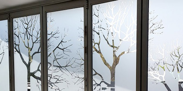 Window Vinyl Printing - Wizardz Print and Design Cape Town