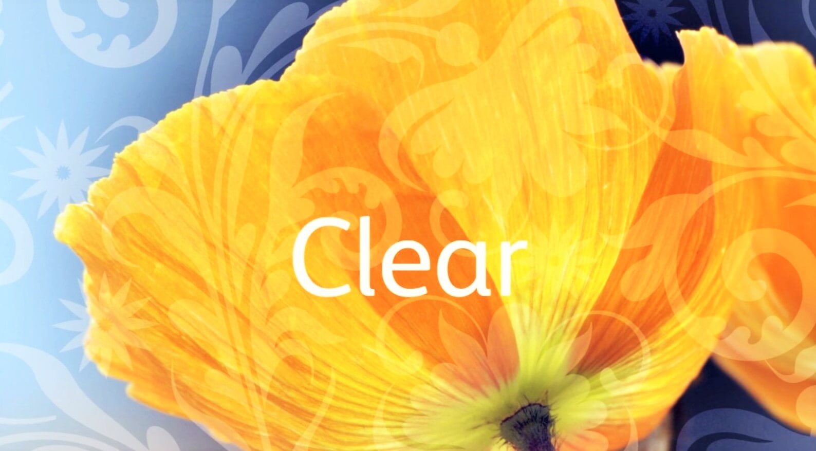 Metallic & Clear Inks | Wizardz Print | From ordinary to extraordinary!